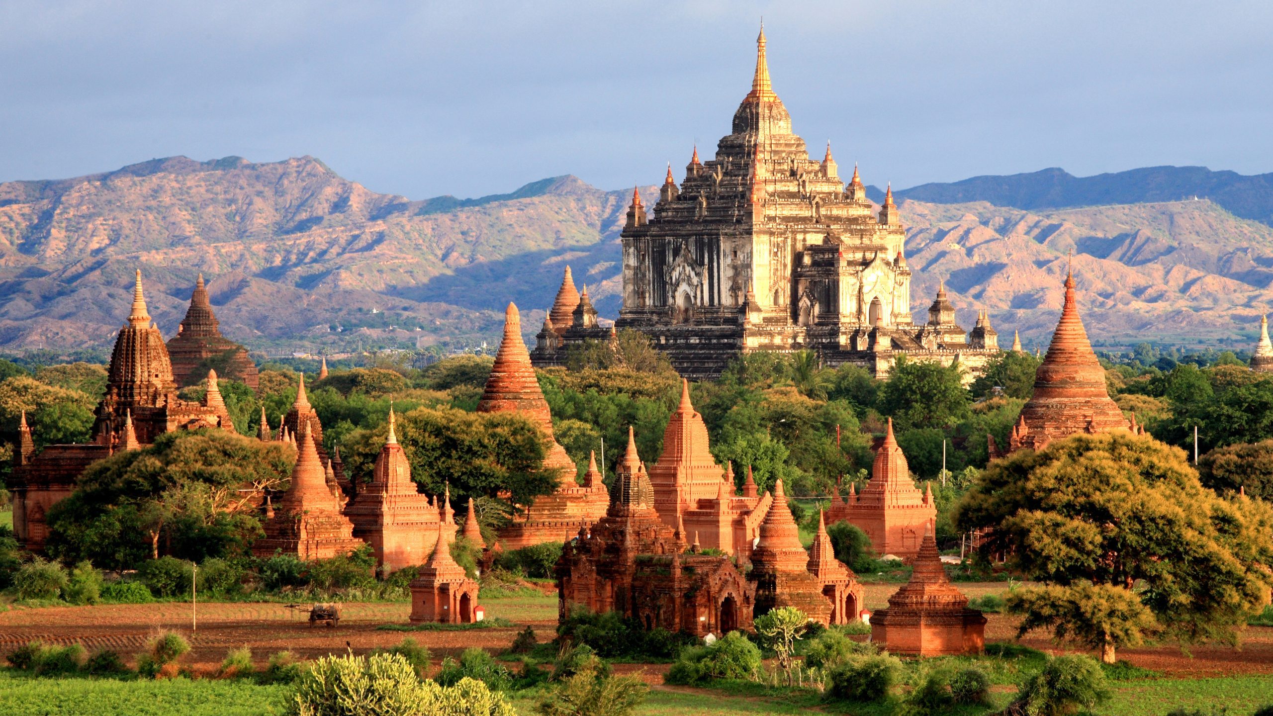 Myanmar Dashboard Profile | Global Solidarity Levies Task Force