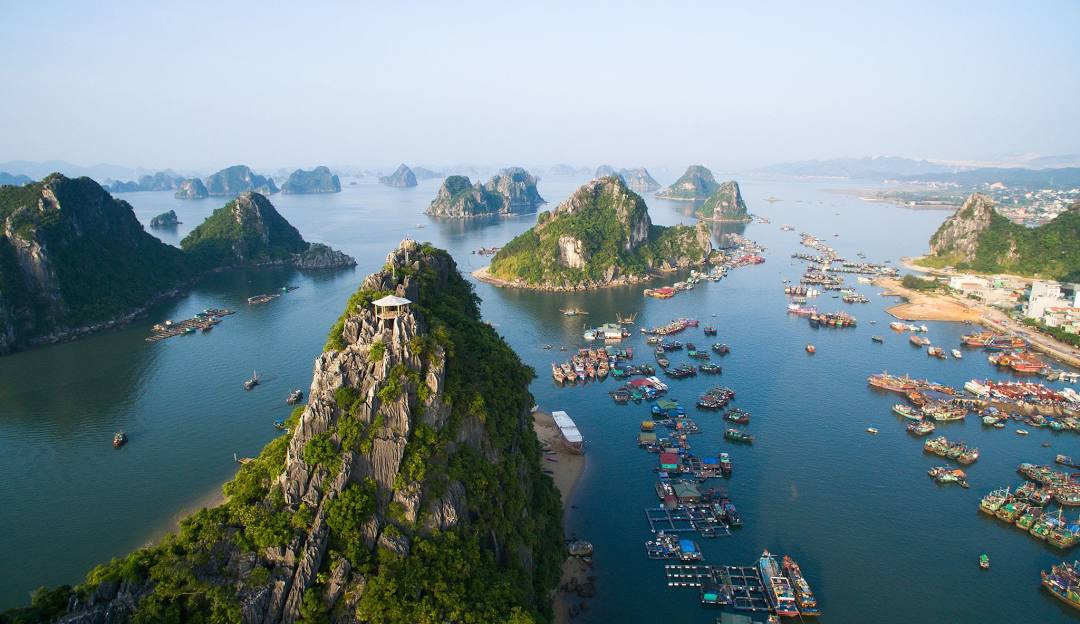 Vietnam Dashboard Profile | Global Solidarity Levies Task Force